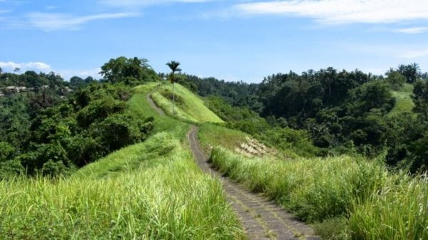 Weekend Wanderlust: A nature trek on Campuhan Ridge - Bali Travel Blog ...