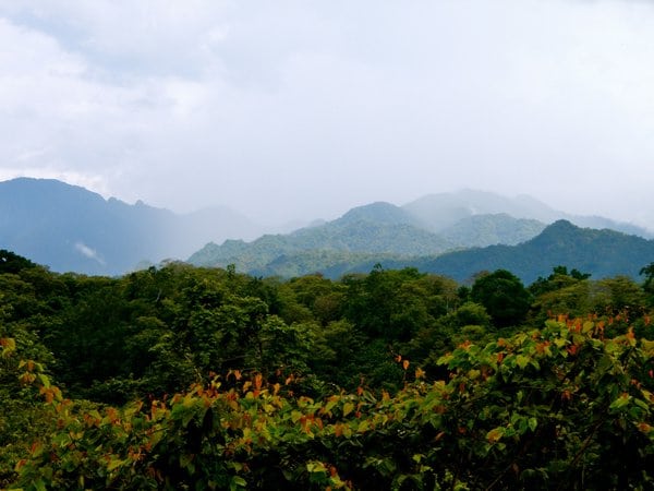 Into the Wild: 10 of Bali's Best Hiking Trails - Bali Travel Guide