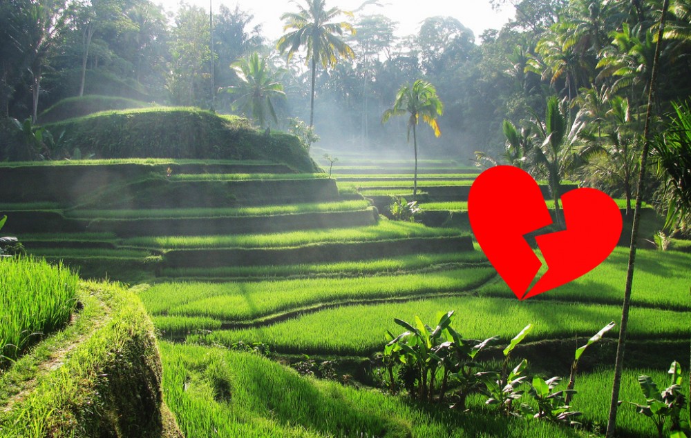 Is Bali Cursed? 5 Tips To Make It Off The Island With Your Relationship ...