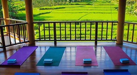 Go Zen: Meditation Classes and Retreats in Ubud - Bali Travel Guide