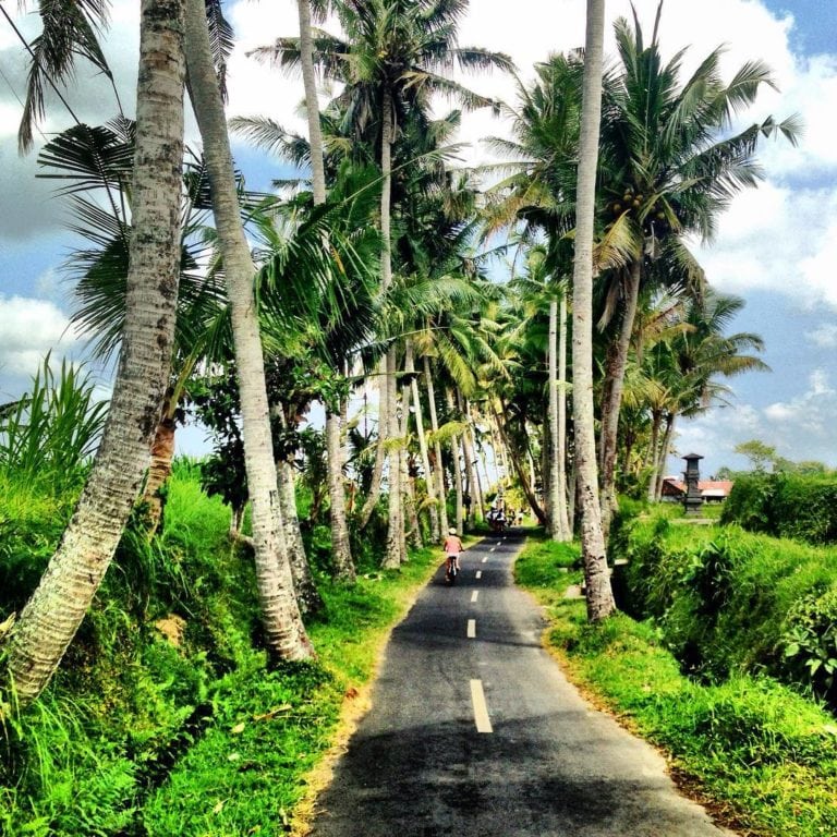 Go Green: Sustainable Travel Guide to Bali