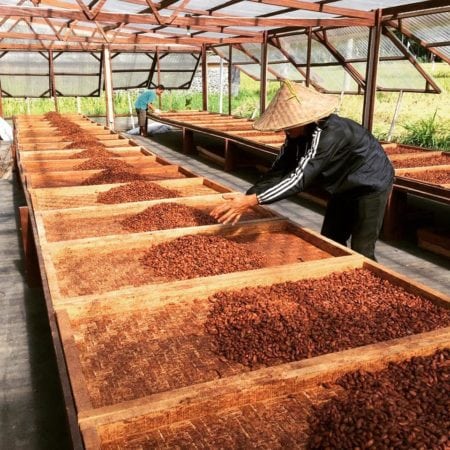 Chocolate in Bali: The Complete Guide for a Chocolate Holiday