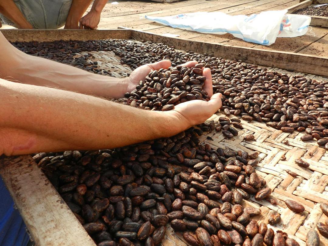 Chocolate in Bali: The Complete Guide for a Chocolate Holiday