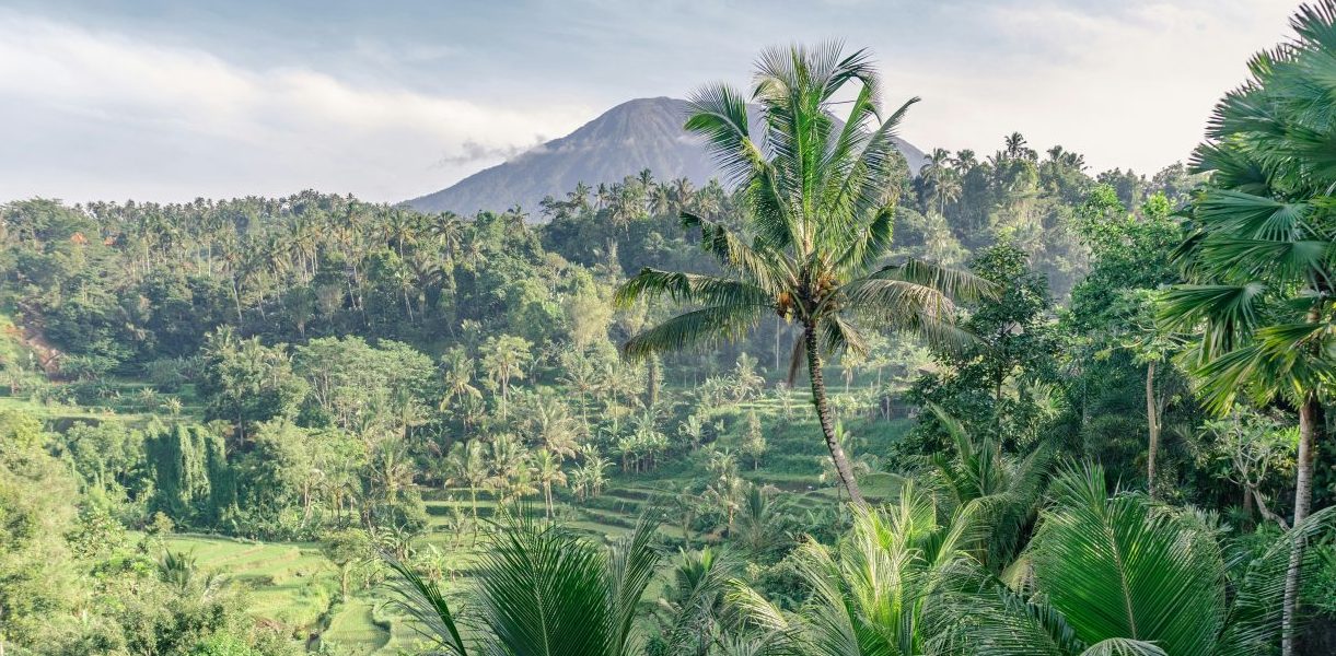 The Best Restaurants with Rice Field Views in Bali - Bali Travel Blog ...